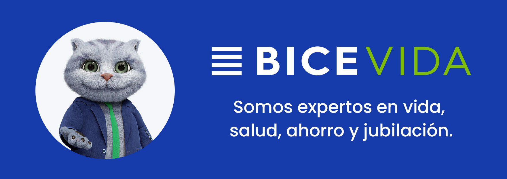 Folleto | Seguro Vida Temporal | Bice Vida